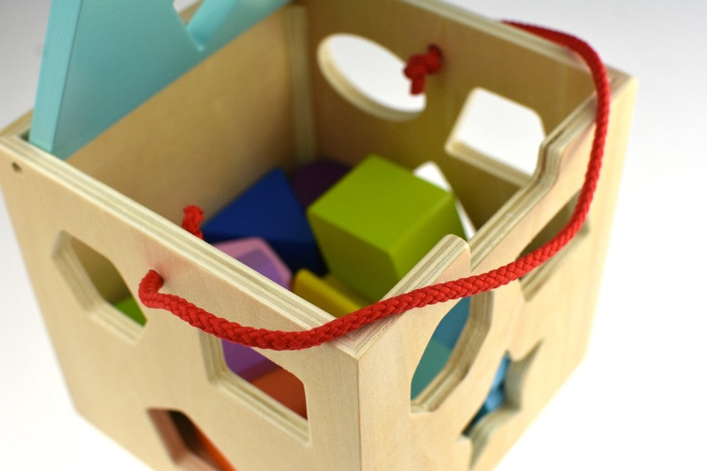 Wooden Shape Sorter | Montessori Shape Sorting Toy with 12 Wooden Bloc ...